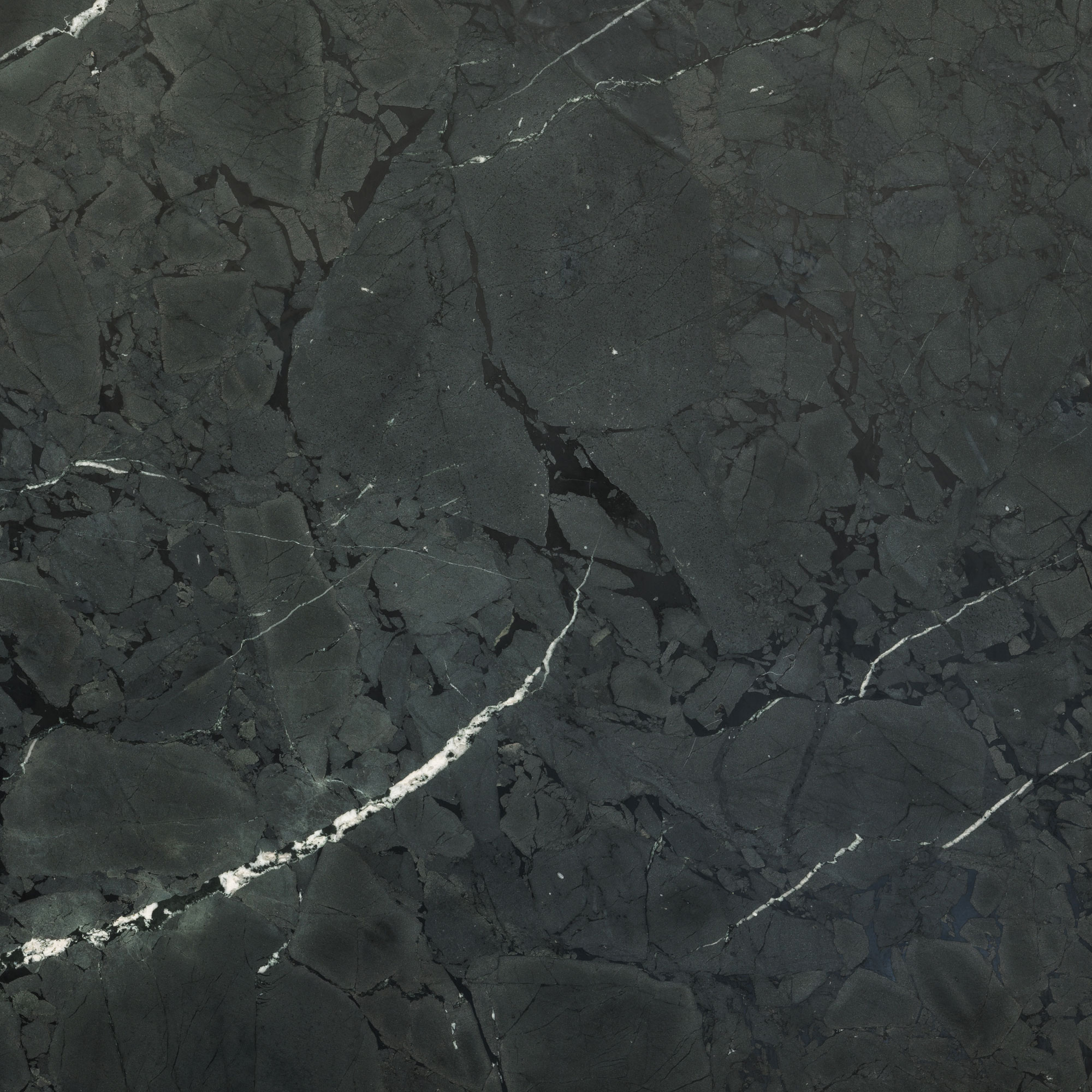 Negresco Quartzite Slab - Aboda