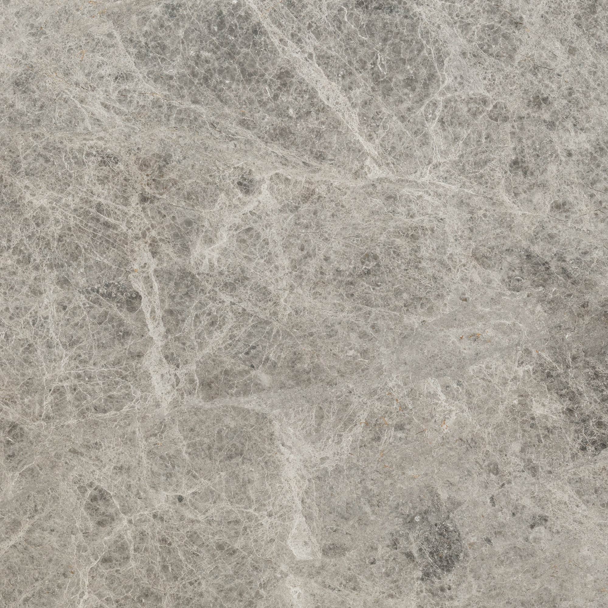 Tundra Grey Limestone Slab - Aboda
