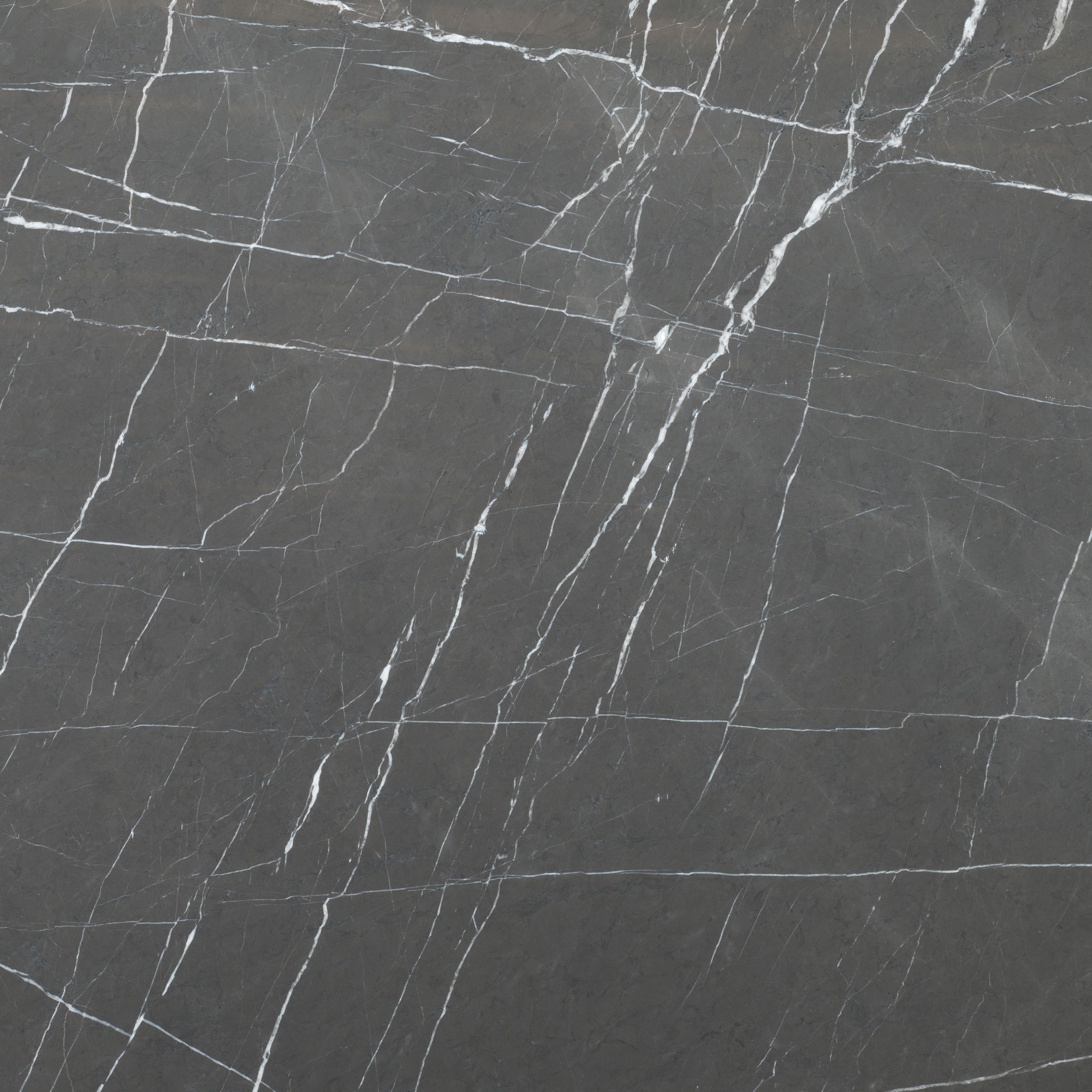 Pietra Grey Limestone Slab - Aboda