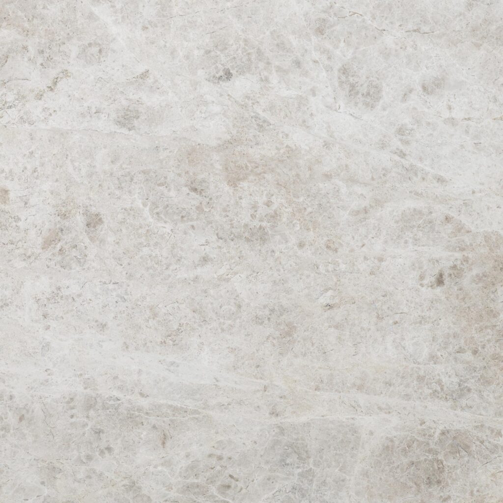 Silver Galaxy Limestone Slab - Aboda