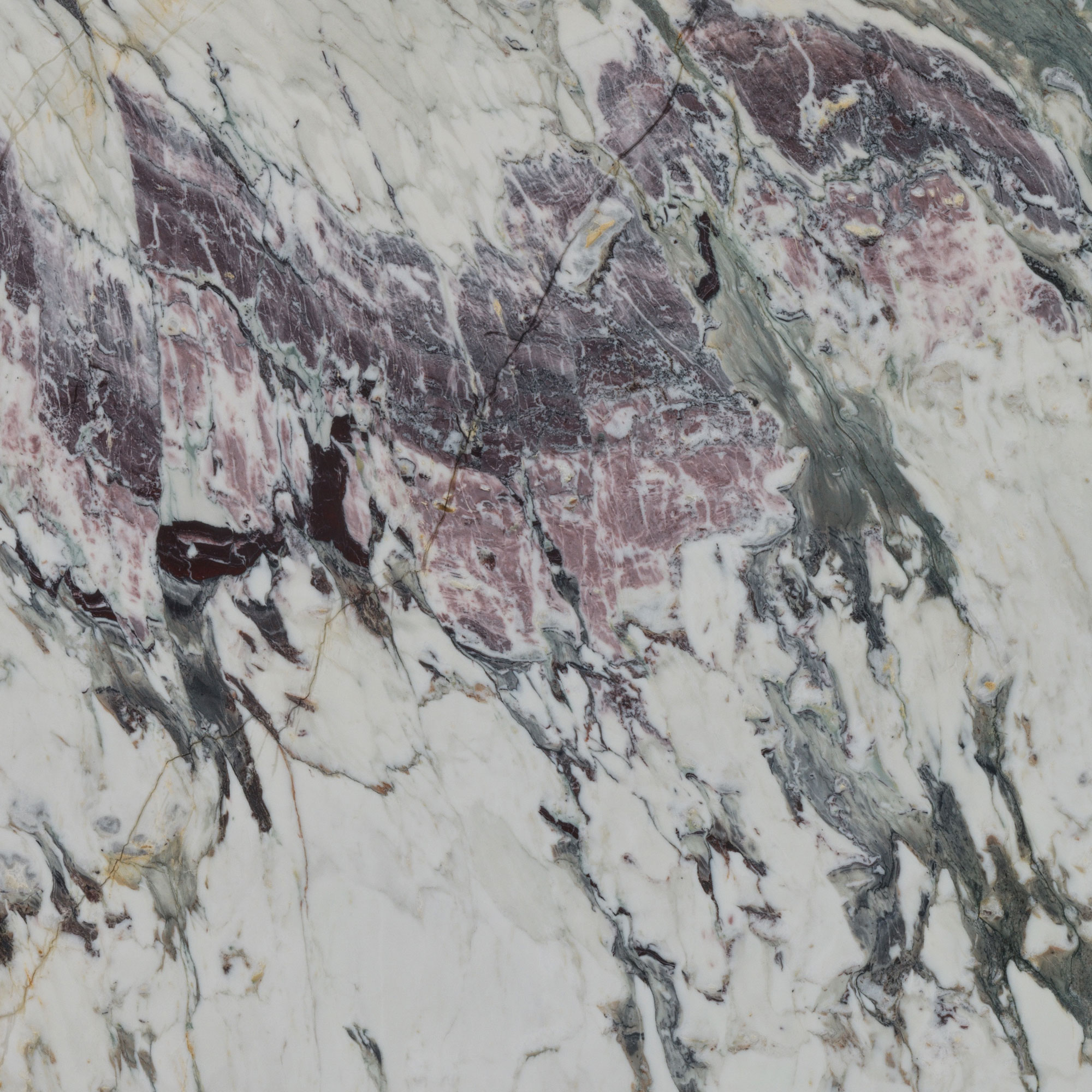 Breccia Carpraia Marble Slab - Aboda