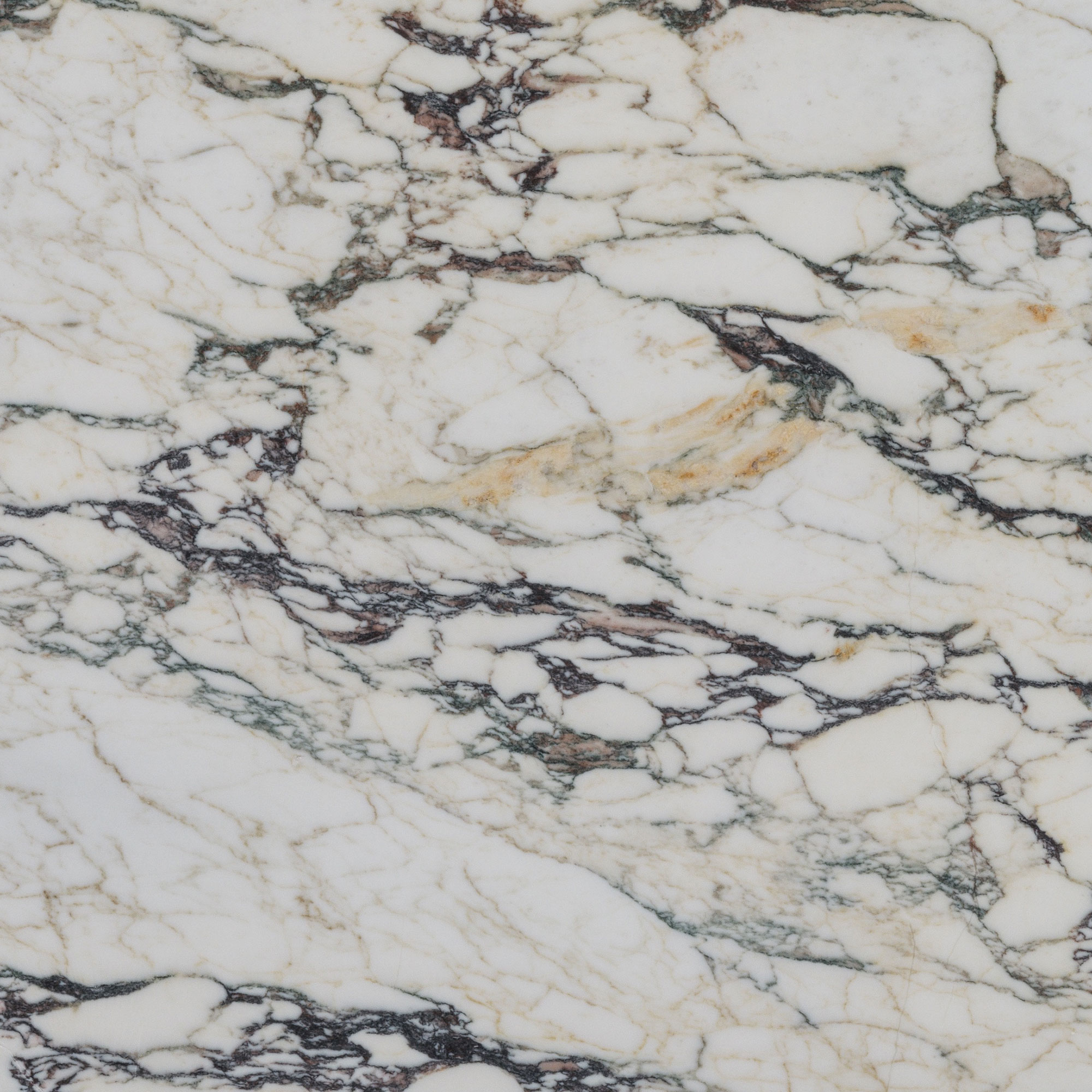 Calacatta Monet Marble Slab - Aboda